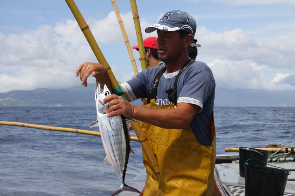 FISH4EVER Une marque engagée pour du thon durable ! - United Fashion ...